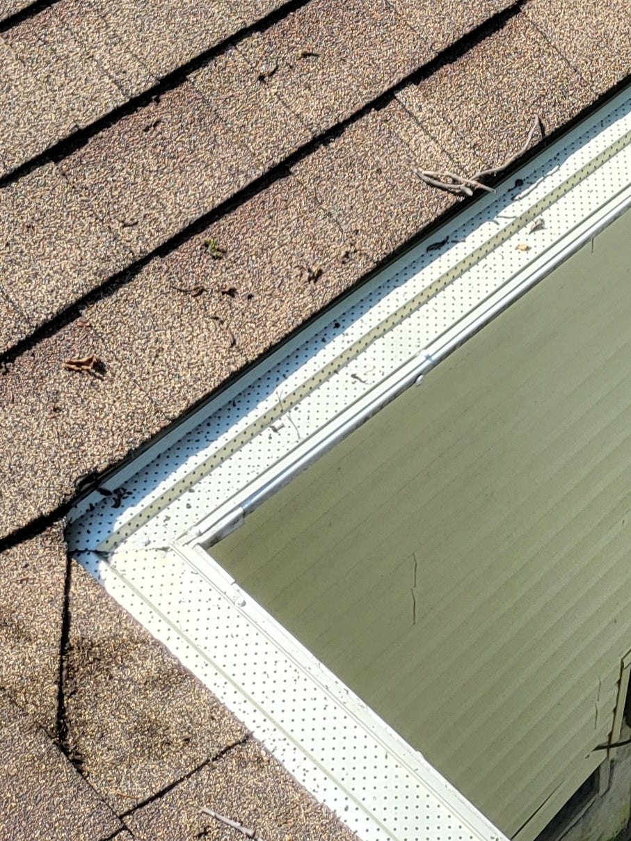 Get an Estimate Leaf Protection Accessories Gallery Custom Colors What ...